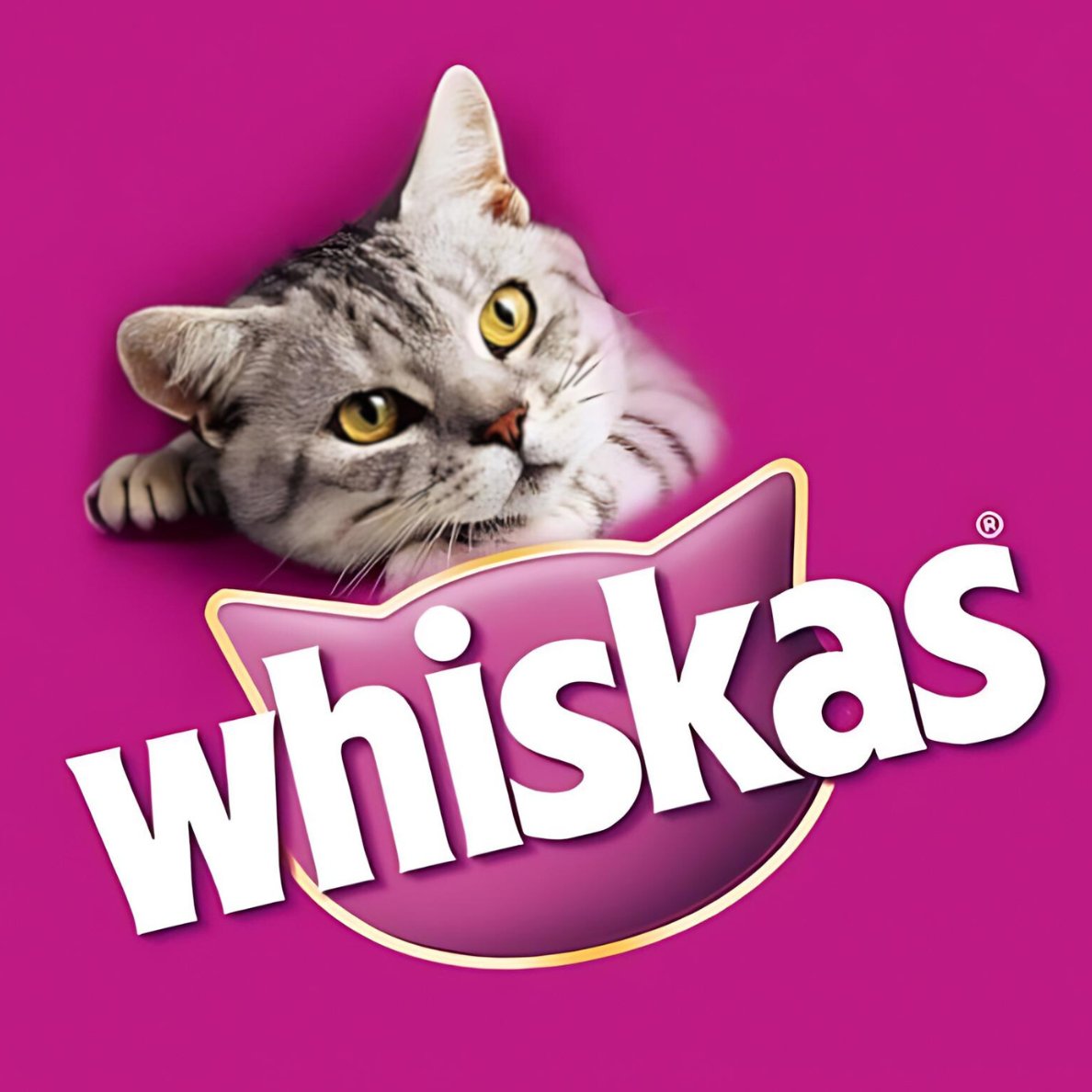Whiskas: Premium Nutrition for Your Feline Friend – Petssmart Value ...